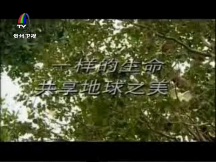 一样的生命 共享地球之美-公益广告(贵州卫视版)