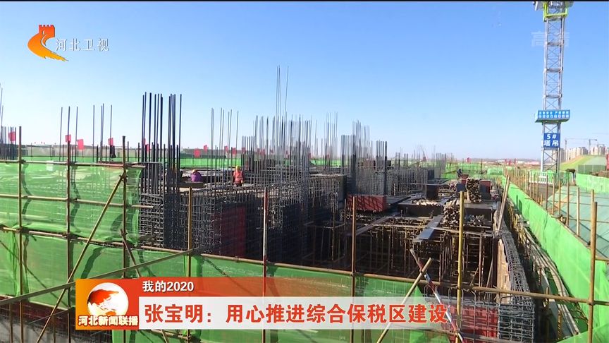 【我的2020】张宝明:用心推进综合保税区建设