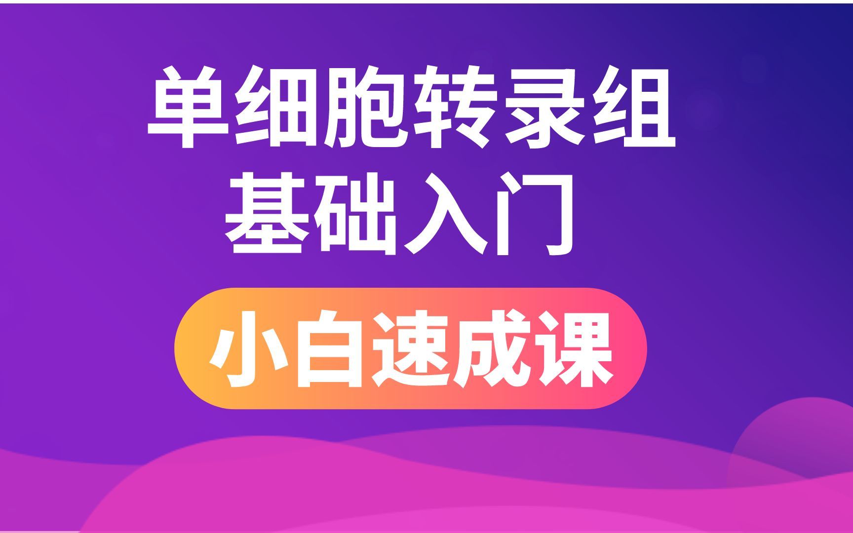 单细胞转录组测序原理介绍,解锁单细胞测序与普通测序的区别
