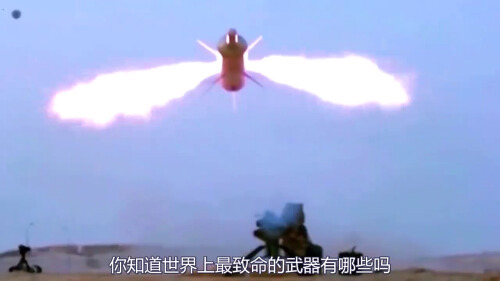 十大危险的杀伤性武器(2)