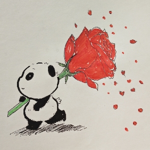 阿七的奇妙世界 