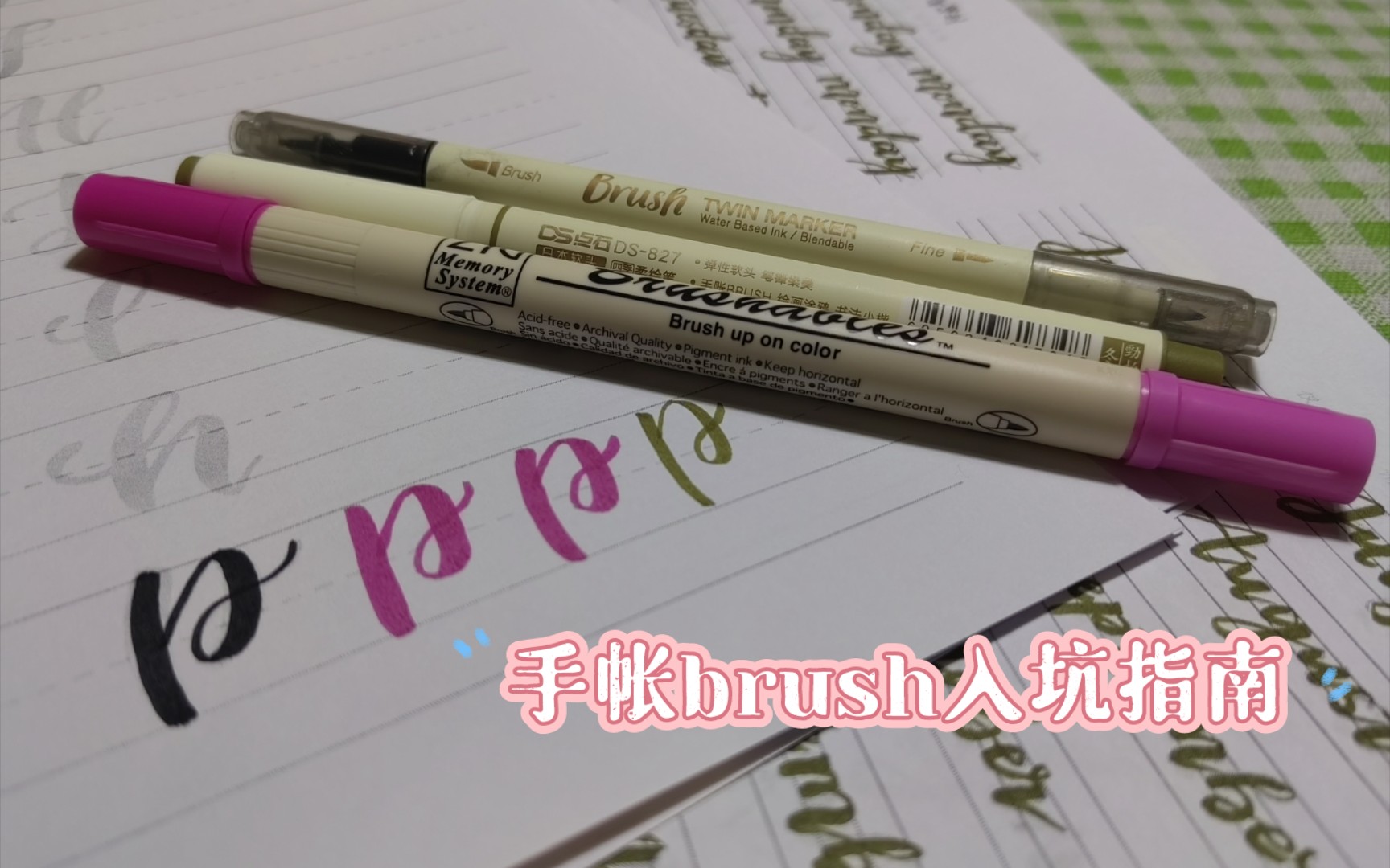 ...新手入坑指南brush字帖及雷品笔再就业大法 纯分享仅代表个人观点!