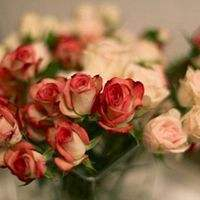 bili_20916625150 