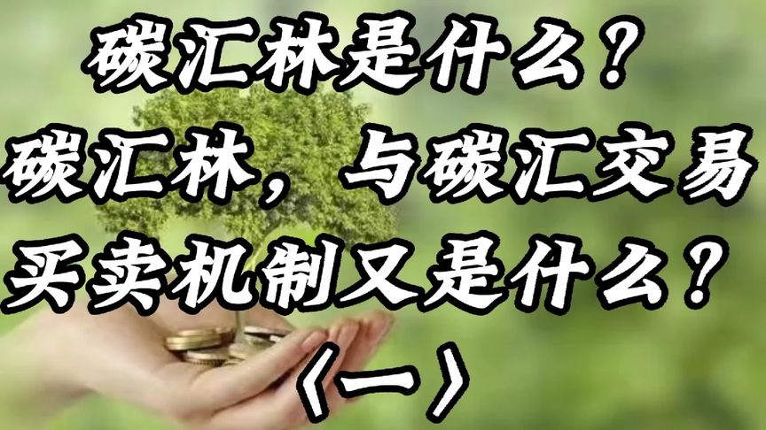 碳汇林是什么?碳汇林,与碳汇交易买卖机制又是什么?〈一〉