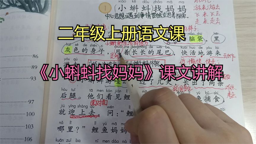 二年级上册语文课《小蝌蚪找妈妈》课文讲解,利用国庆帮孩子复习
