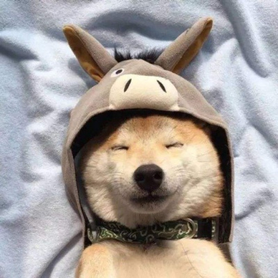 橙仔仔仔仔仔仔仔 