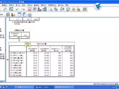 陈老师spss数据分析教程之问卷量表spss信度分析(二)