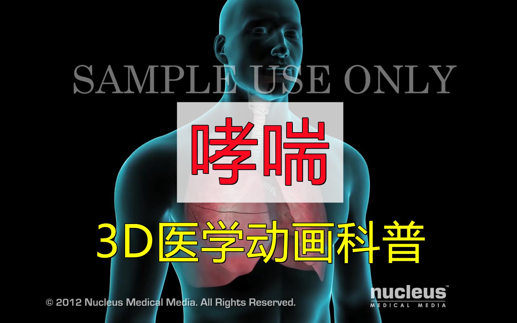 【3D医学动画科普】哮喘的发生机理(中英双语字幕)