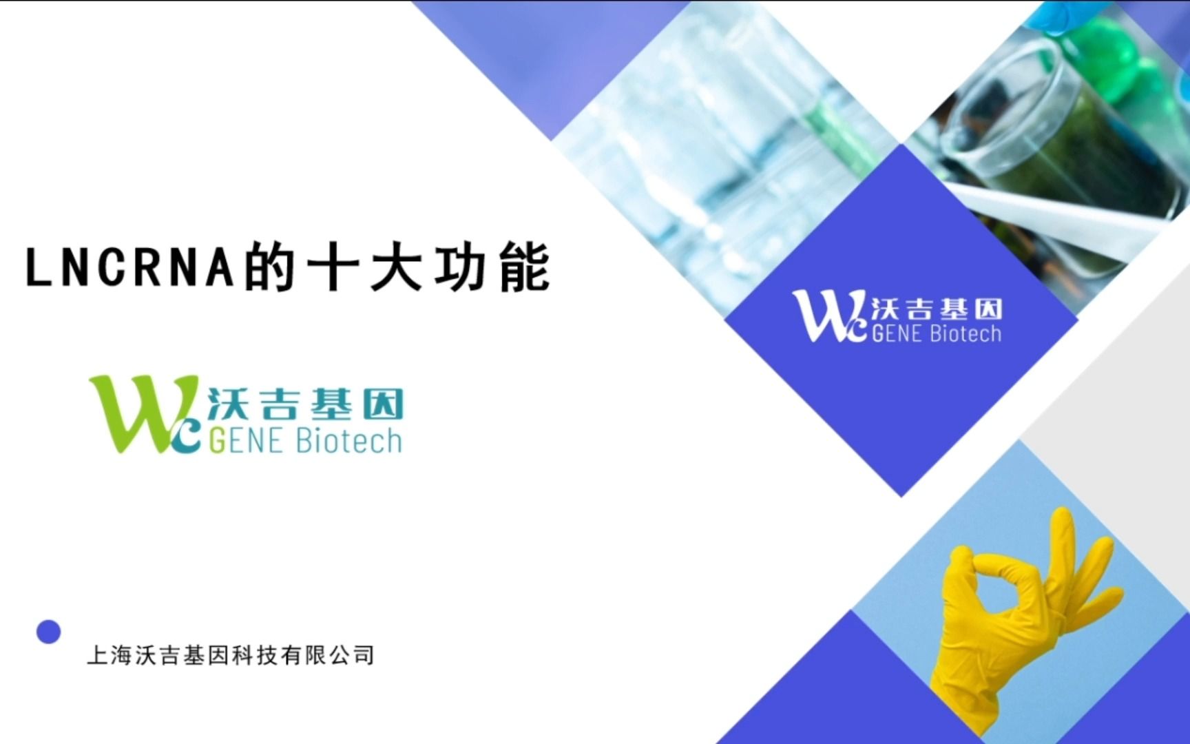 非编码基因lncRNA的十大功能