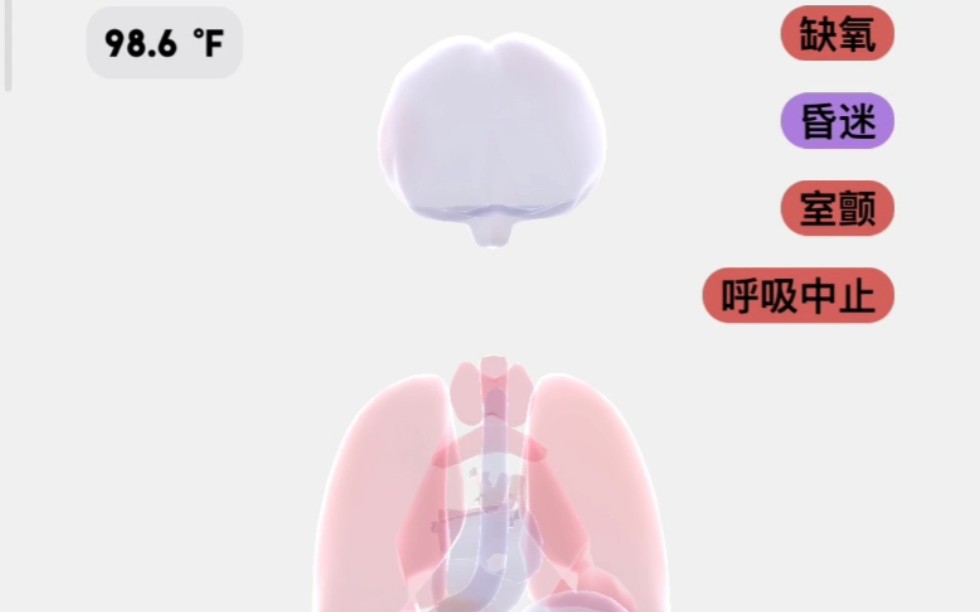 标准死刑模拟过程(LIFE生命)