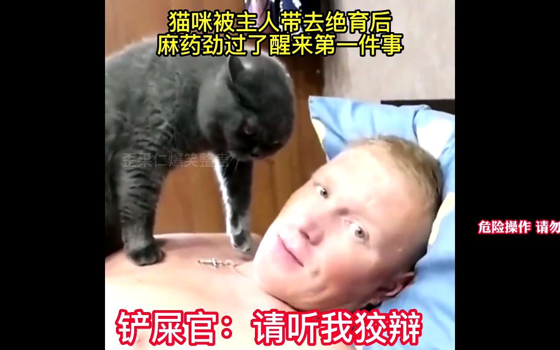 动物生气名场面,生气后又可爱又可怕,铲屎官你欠狗子一个道歉