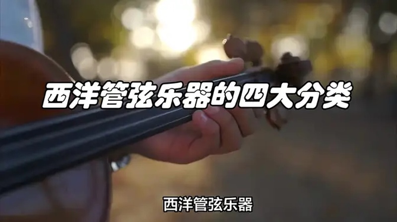 西洋管弦乐器四大分类:音色各异,魅力无限