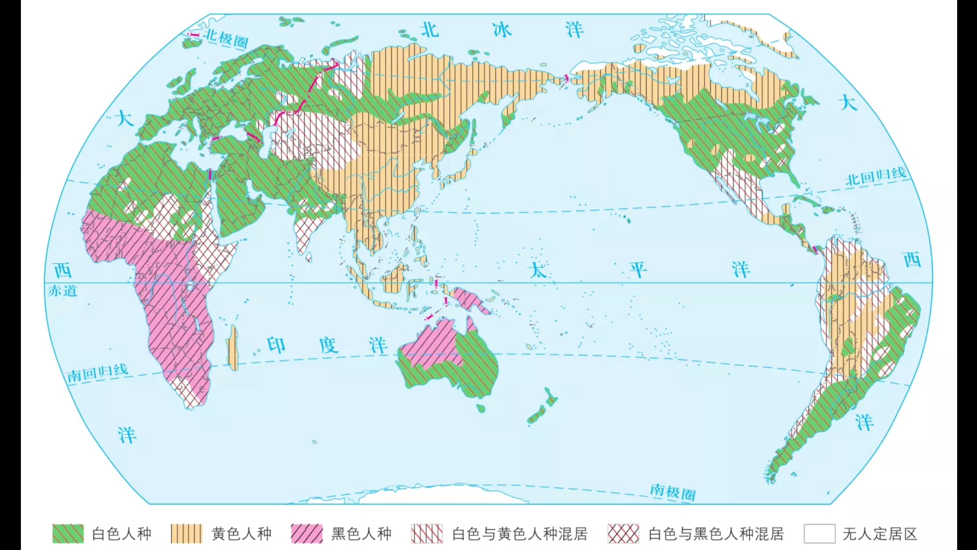 世界人口、人种、语言分布图