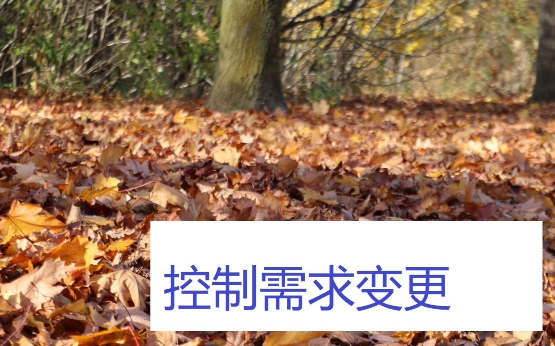 软件工程师如何防止需求蔓延