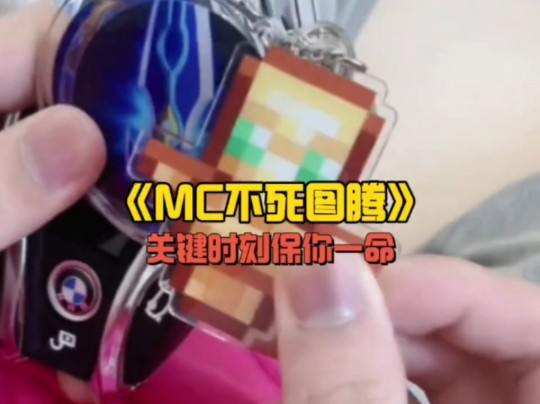 不死图腾:天王老子来了也带不走你#我的世界 #mc #游戏