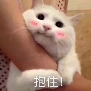 叁仟壹瓢 