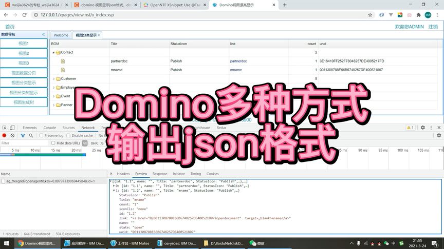 Domino多种方式输出JSON格式、快速输出Json格式,源代码全演示