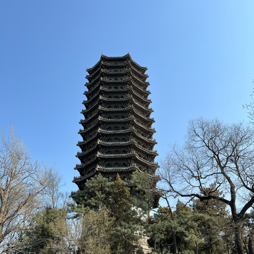 76岁含泪读博 
