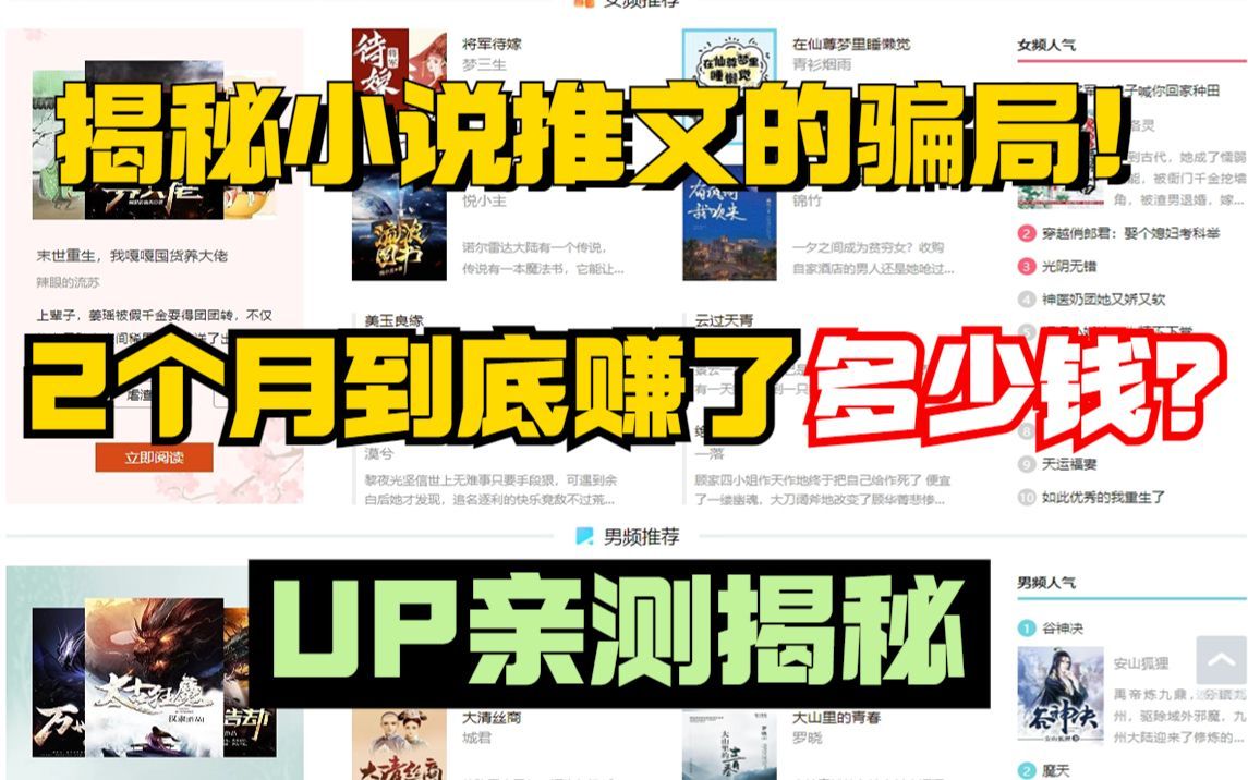 UP亲测揭秘揭秘小说推文的骗局! 2个月到底赚了多少钱?