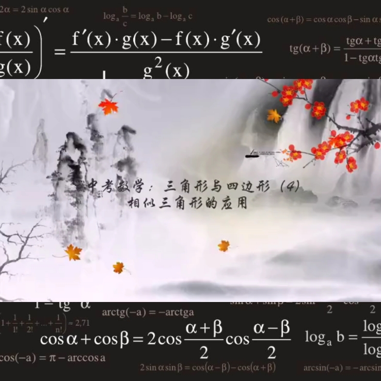 中考数学:三角形与四边形(4)相似三角形的应用