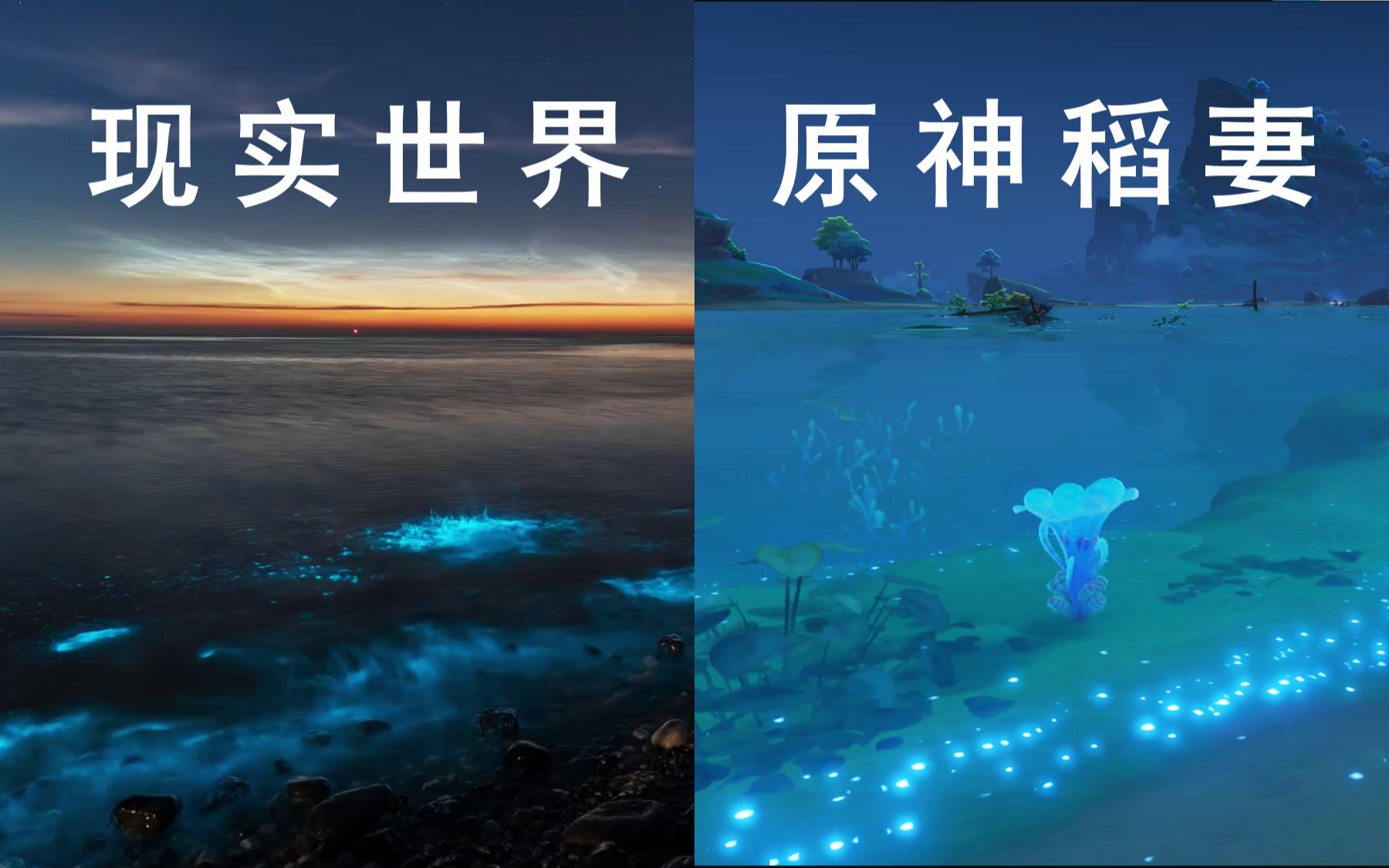 盘点现实中高还原的稻妻美景_原神