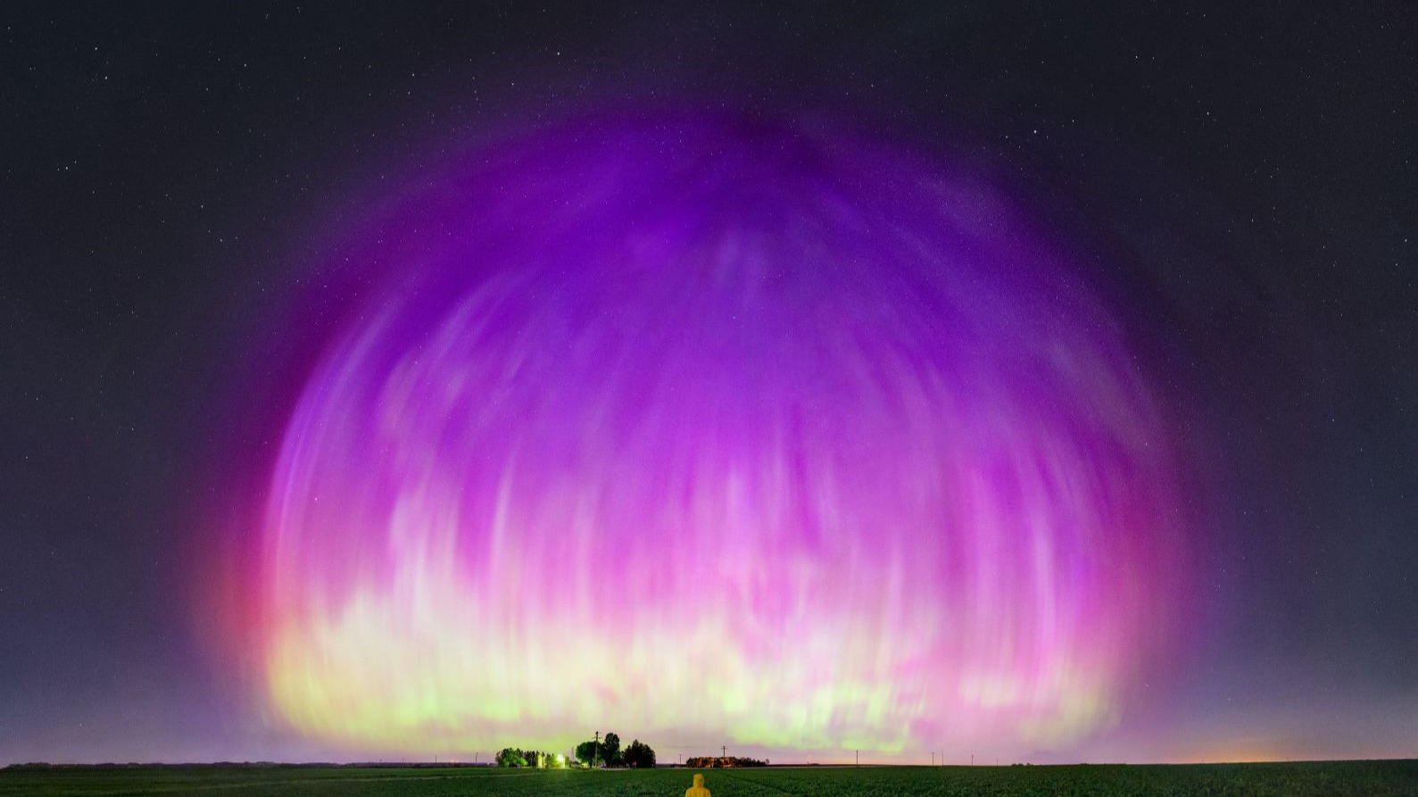 摄影爱好者手机照片获得大奖? 光与万物影展赏析!