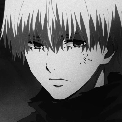 半兵卫-ZGR 