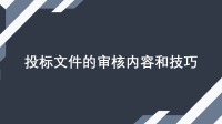 满分投标文件编制策略 第21集 投标文件的审核内容和技巧