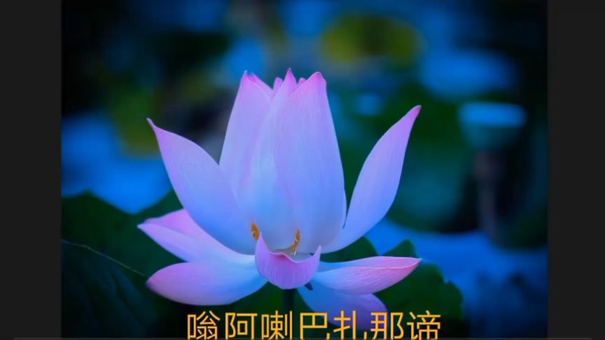 念诵文殊菩萨心咒108遍,助力高考,加持莘莘学子们金榜题名