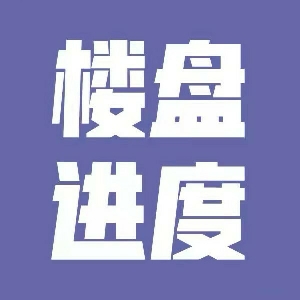 南京楼盘进度报告 
