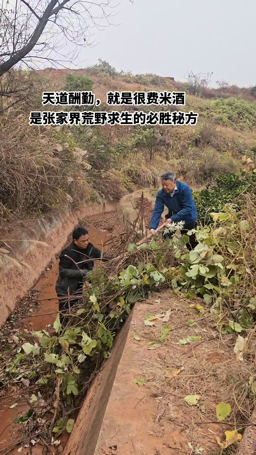 溆水灌区的同志们天天这样劳动下去,必定会练就超强的荒野求生本能,...