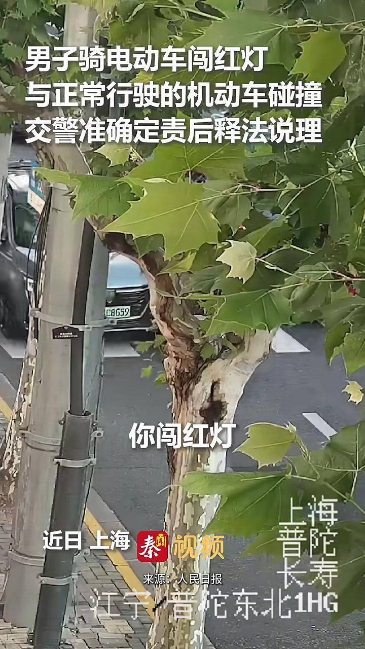 这次机动车不背锅!男子驾驶电动车闯红灯引发交通事故,却认为机动车...