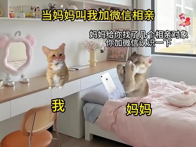 当妈妈叫我加微信相亲