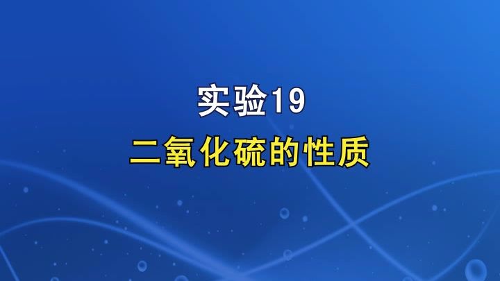 实验19 二氧化硫的性质