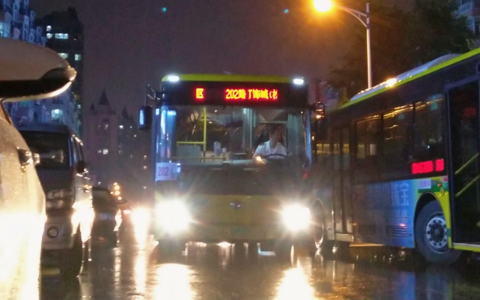 【3哥---POV134】哈尔滨公交202路POV(滨江灯饰城---田园小区)全程...