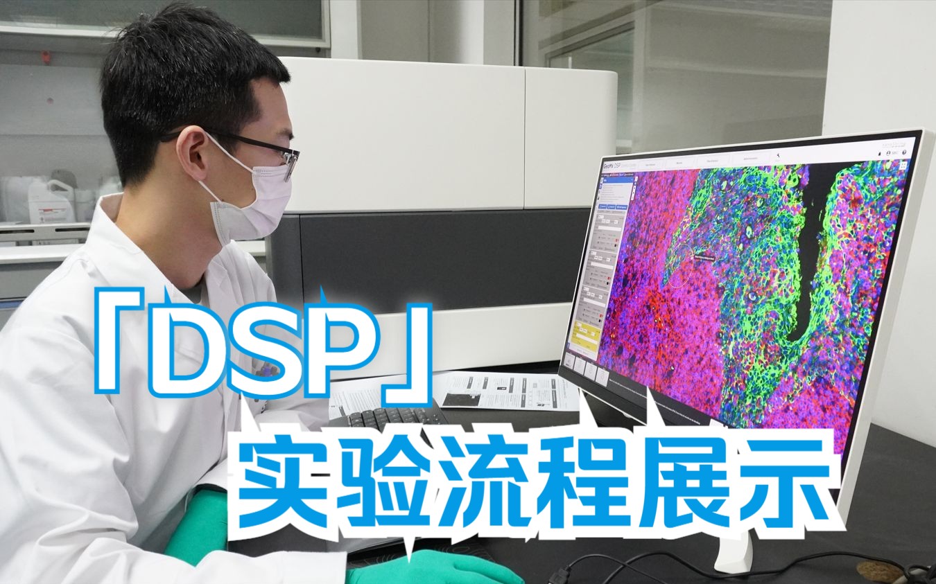 DSP实验流程展示