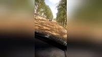 伊通满族自治县,东尖村,这条水泥道。
