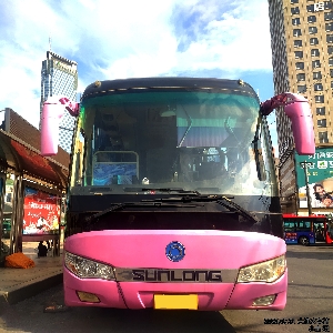 宝哥不会坐公交 