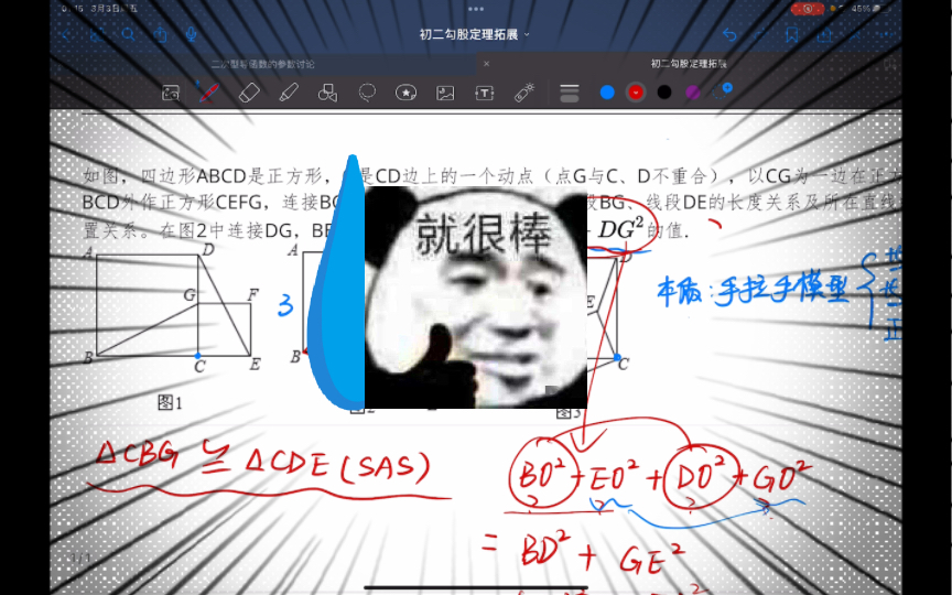 【初二数学】手拉手模型结合勾股定理