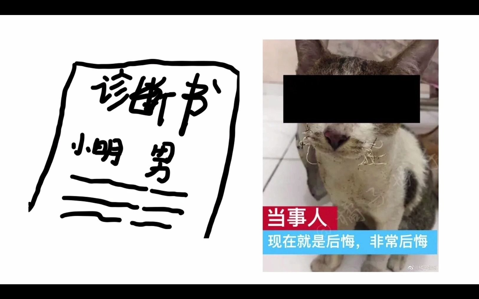 元气美少女的民法典普法之婚姻家庭编