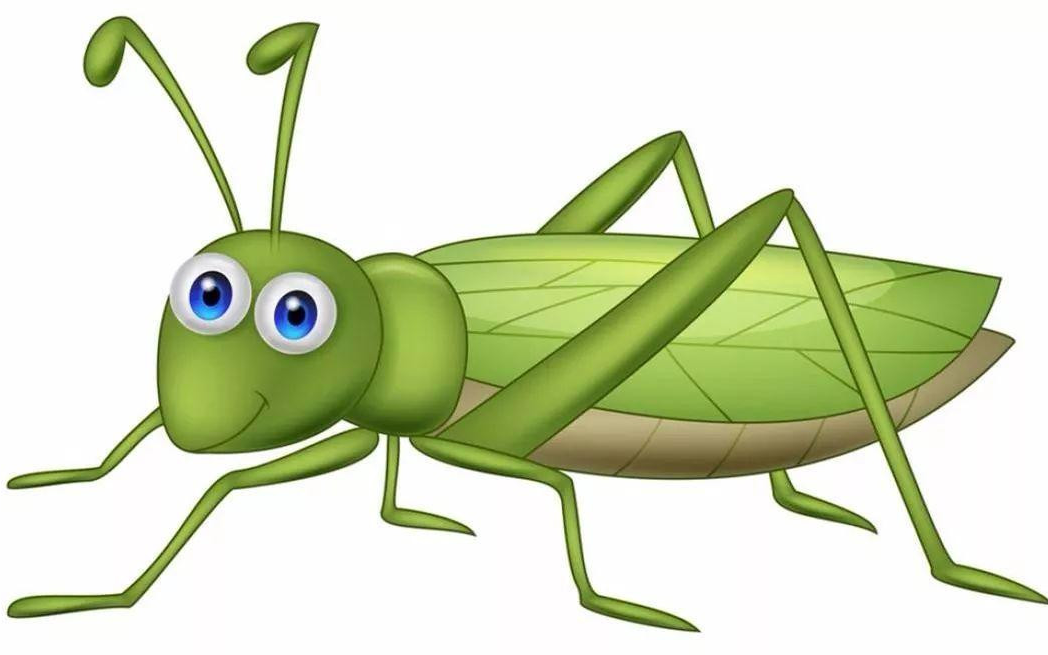【中英字幕】和Grasshopper作者一起学参数化设计-基础篇 Basics of ...