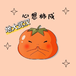 地大通信考研组 