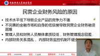 民营企业财务风险问题的及防范措施的研究