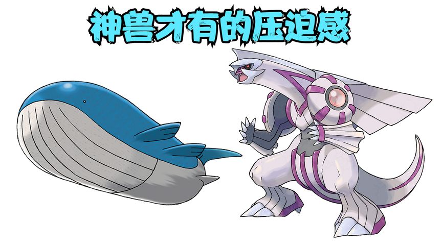 水系种族值各项能力最高的宝可梦介绍!