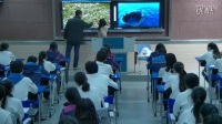 初中语文综合实践活动《走进“红楼”-红楼梦-探究活动》(2016年初中...