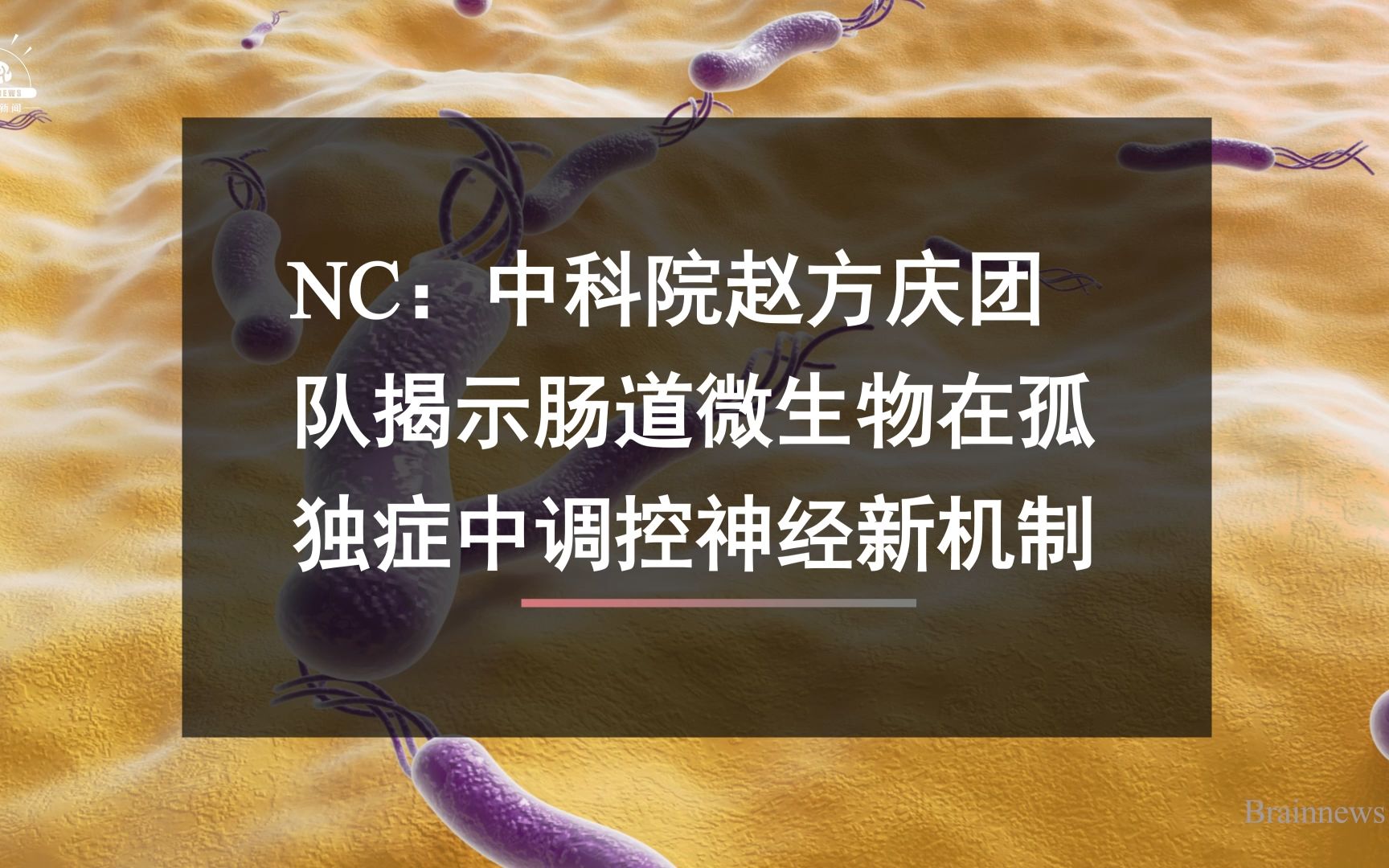 ... NC:中科院赵方庆团队揭示肠道微生物在孤独症中调控神经新机制