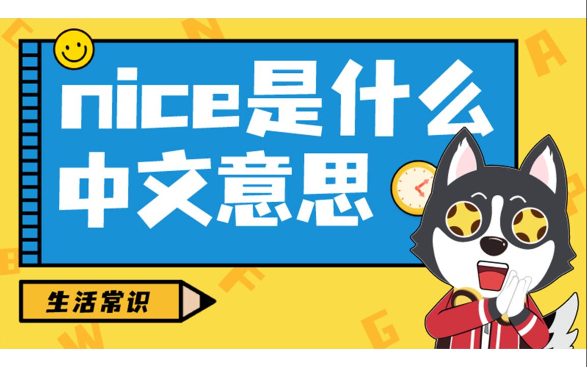 nice是什么中文意思