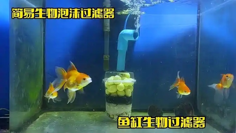简易生物泡沫过滤器,教你制作鱼缸生物过滤器,功能强大简单便宜