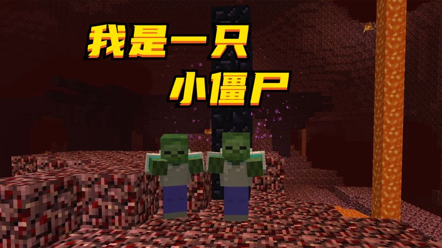 我是一只小僵尸5,挖矿开启下界传送门!