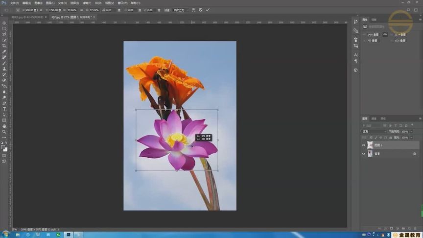 ps高手之基础:对抠图像进行调整,你懂了吗?